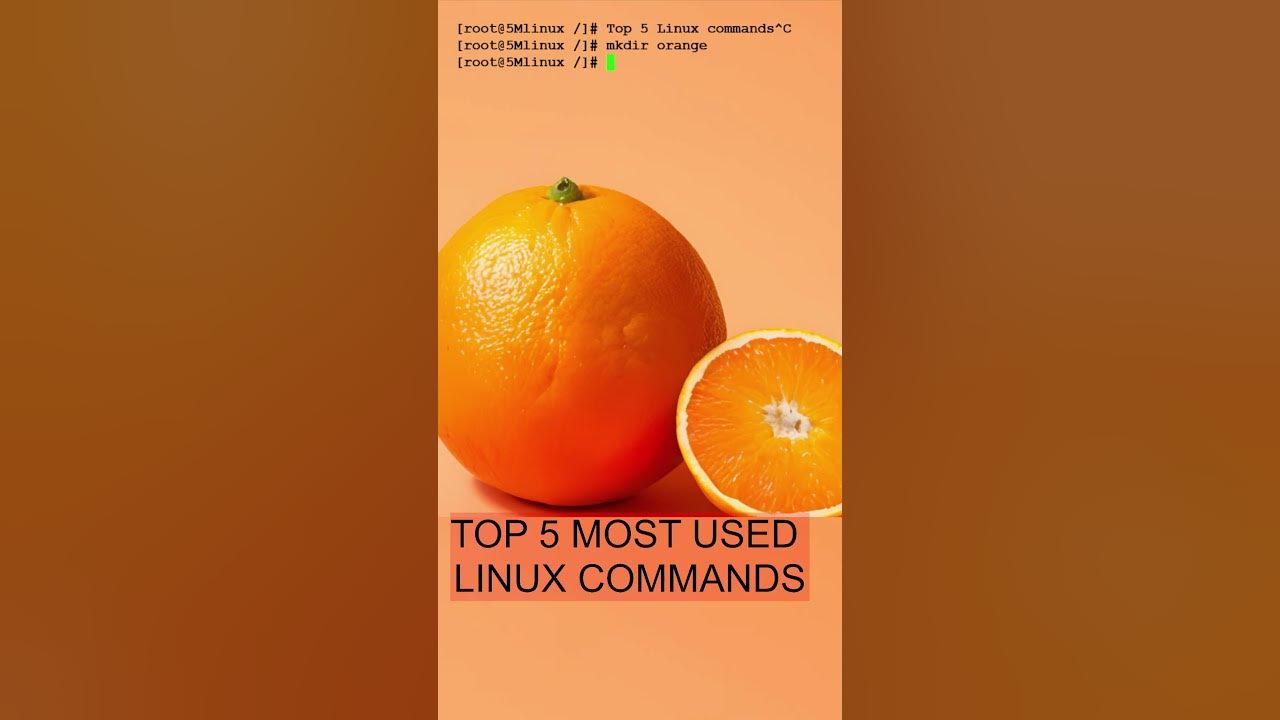 Top 5 Essential Linux Commands Every User Should Know | Beginner's Guide #linux - YouTube