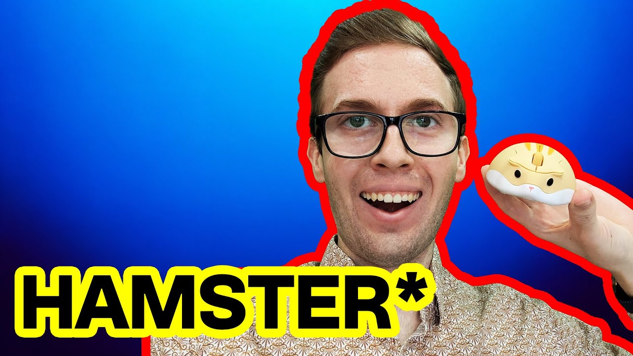 Hamster-Shaped Wireless Mouse - Yay or Nay? - YouTube