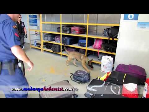 NARKOTİK KÖPEĞİ AKAD’LA GÜVENLİK UYGULAMASI
