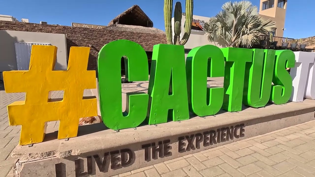 Cabo 2023 - FULL TRIP | Vlog - YouTube