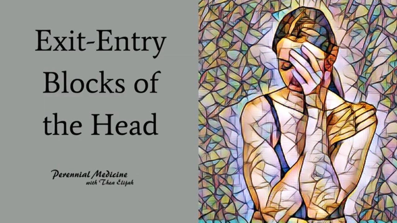 Meridian Qi Transitions | Exit-Entry Blocks of the Head | Acupuncture ...