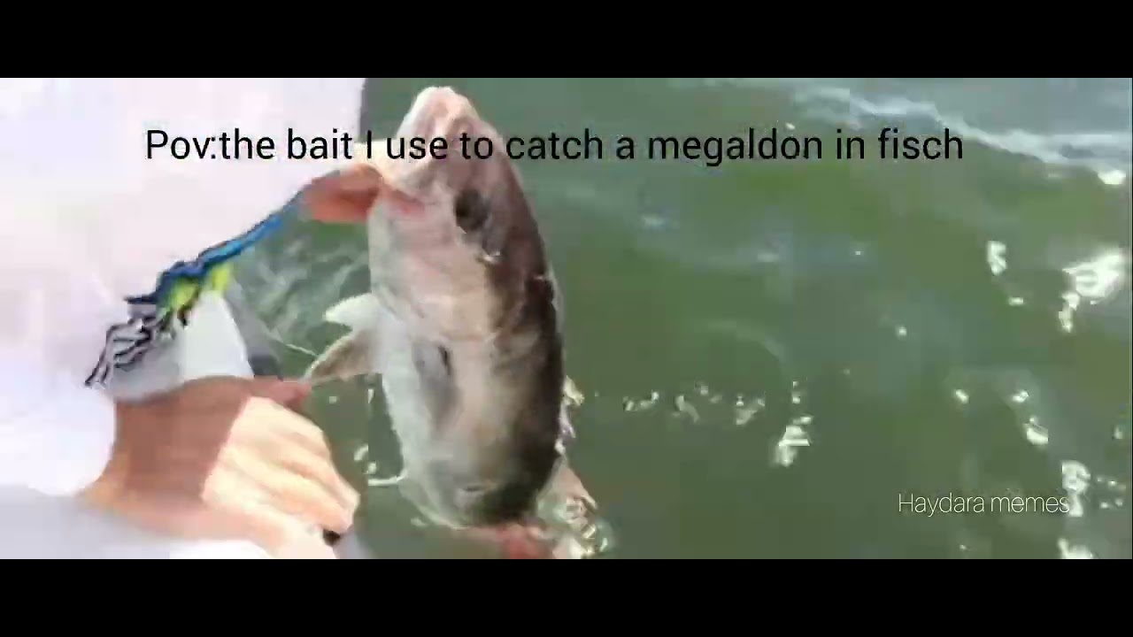 catching a Meg in fisch be like: #funny #meme #memes #lol #viral # ...