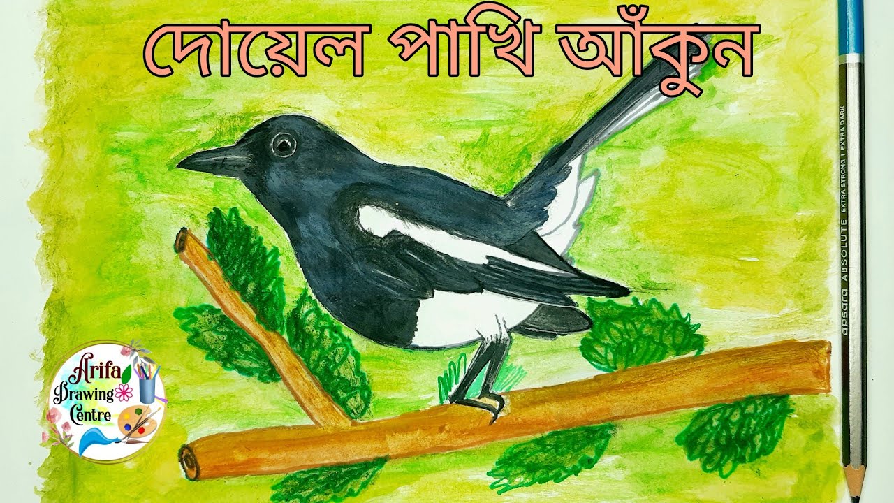 How to draw a Magpie easily step by step @Arifa Drawing Centre - YouTube