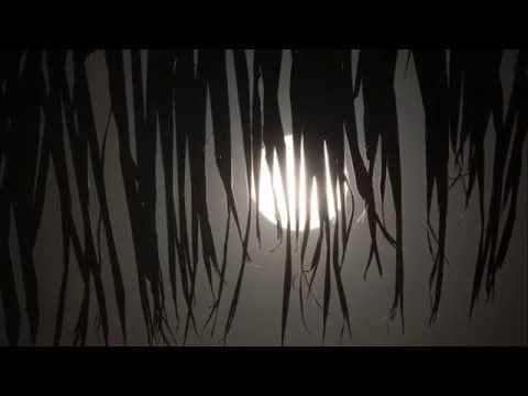 Frei Films - My Insatiable Obsession with the Moon (moon rise time ...