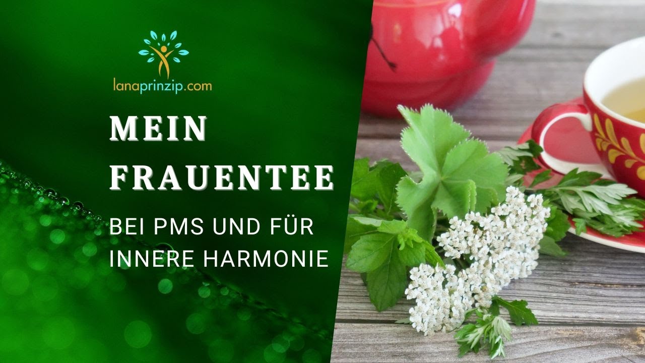 Frauenmantel Schafgarbe Tee