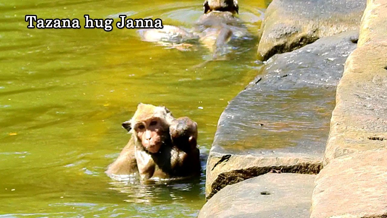 3 Sister swimming in pond, Tazana try hug Janna swim back to safty ...