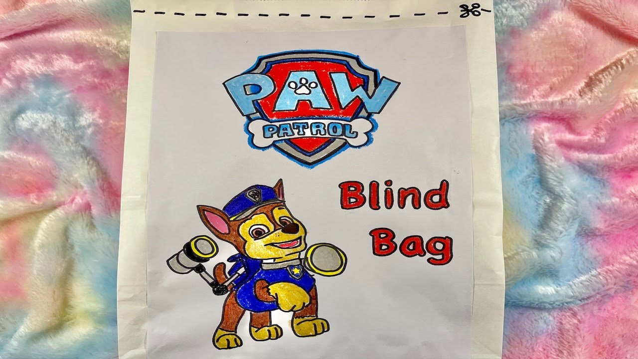 ASMR DIY PAW PATROL Blind Bags and Unboxing Mystery Surprises ...