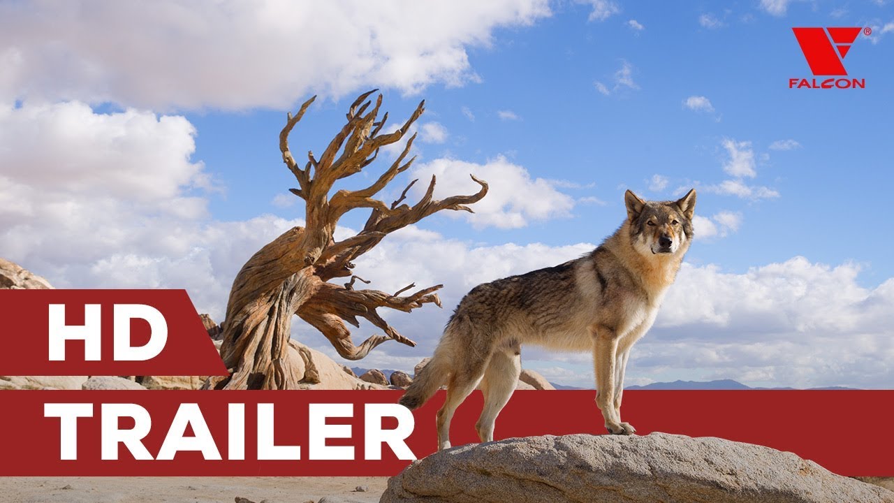 Alfa (2018) HD trailer #2 [CZ tit.] - YouTube