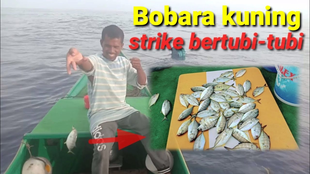 MANCING ikan Bobara kuning GIANT TREVALLY part 2 - YouTube