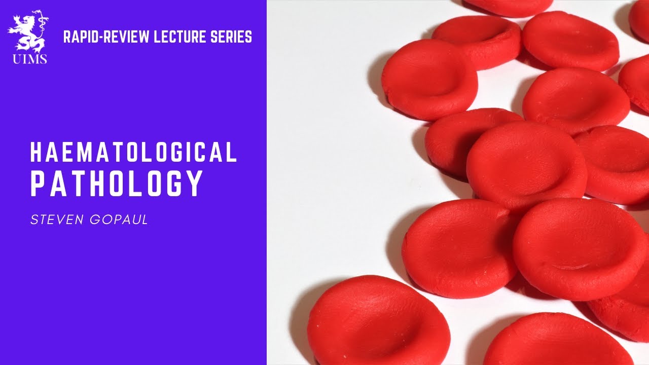 Haematological Pathology - Steven Gopaul - YouTube