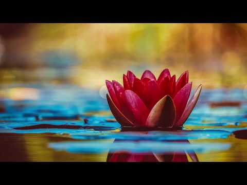 KLARNET BU KADARMI GÜZEL ÇALINIR? - İSTANBUL İSTANBUL OLALI | HÜSNÜ ŞENLENDİRİCİ | 🇹🇷 🎼 🎧