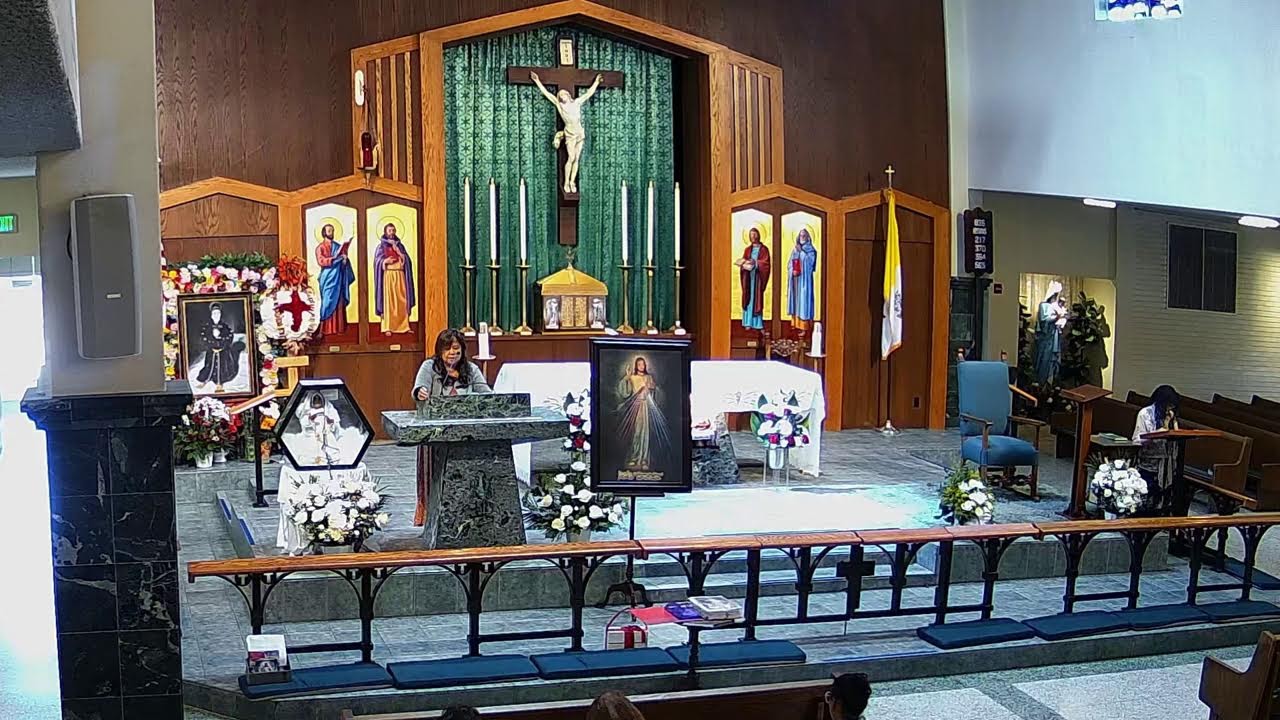 Divine Mercy Chaplet English-Spanish Coronilla de la Divina ...