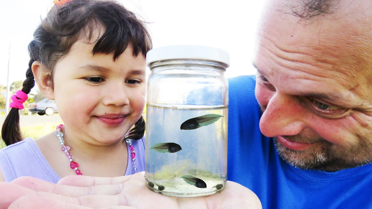Zoe and Daddy Catching Baby Tadpoles For Kids and Frogs - YouTube