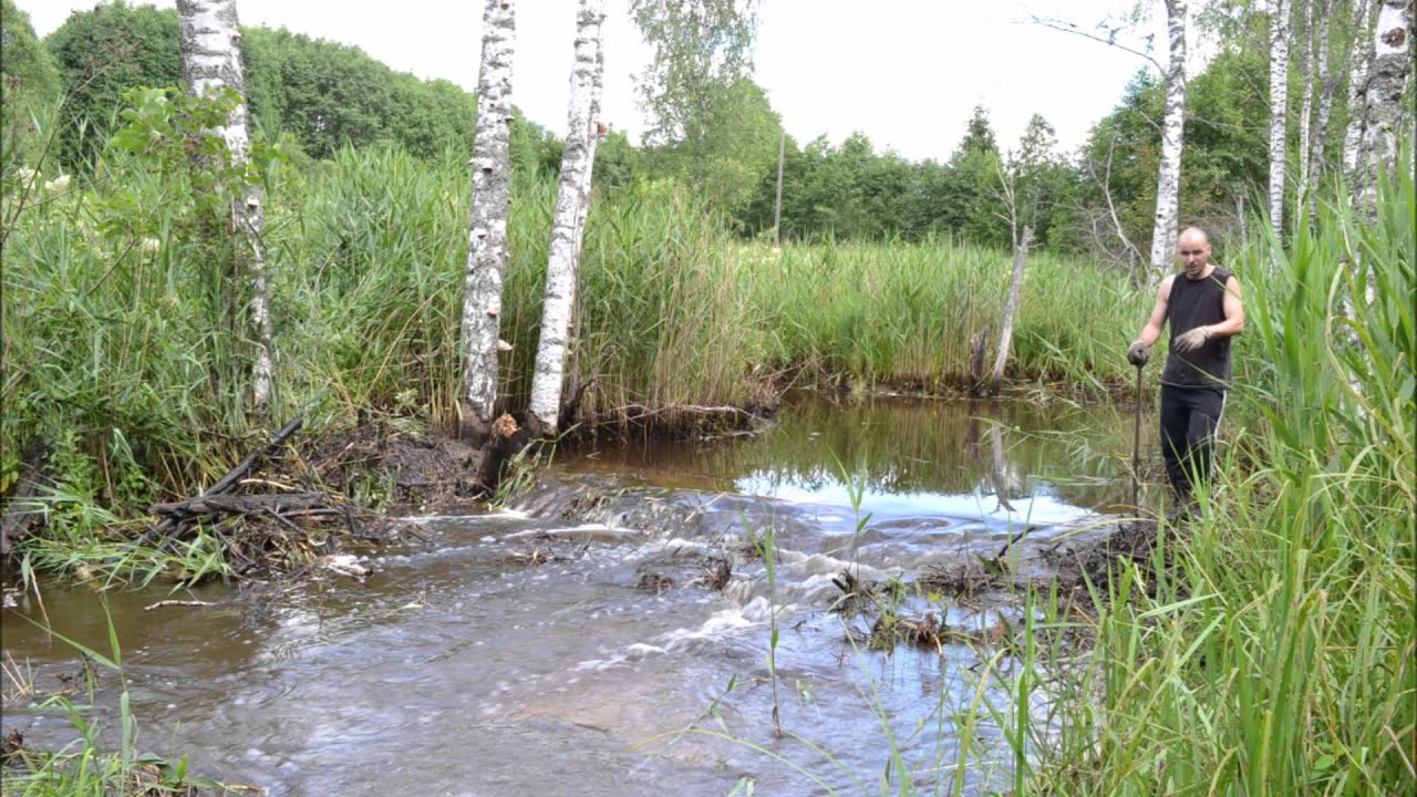 Beaver dam destruction (timelapse) - YouTube