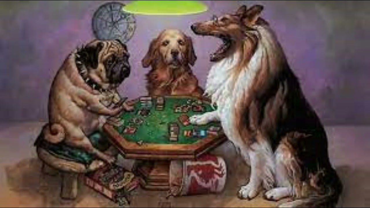 Fattus Product Trailer - YouTube