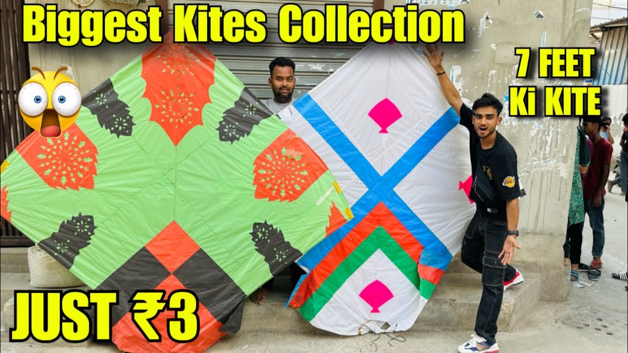Cheapest Kites Market in Delhi 🔥| wholesale/Retail Kite | 15 August ...