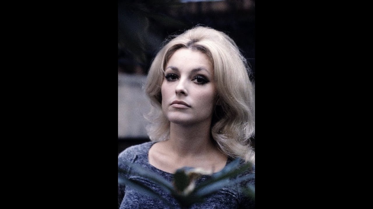 "THEME FROM VALLEY OF THE DOLLS" DIONNE WARWICK (SHARON TATE PICTURES ...