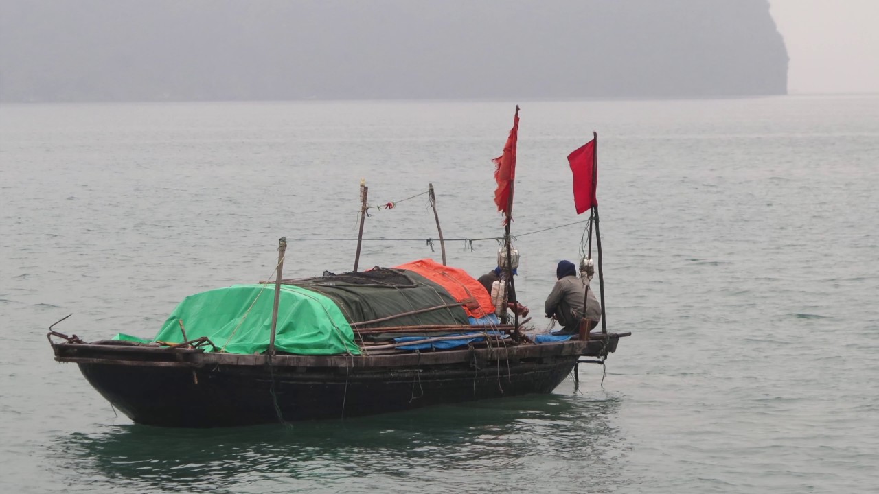 Lorrin Lee's Halong Bay Vietnam Cruise - YouTube
