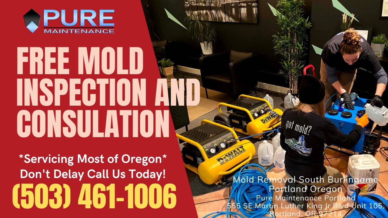 Mold Removal South Burlingame Portland Oregon - Pure Maintenance ...