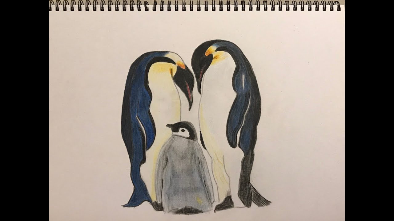 How to draw a Penguin/Πως να ζωγραφίσω έναν Πιγκουίνο - YouTube