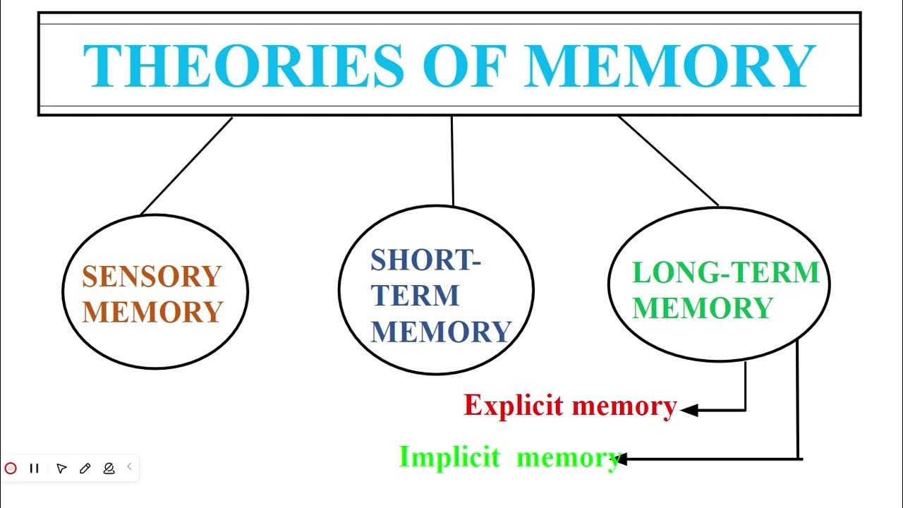 MEMORY AND THEORIES OF MEMORY - YouTube