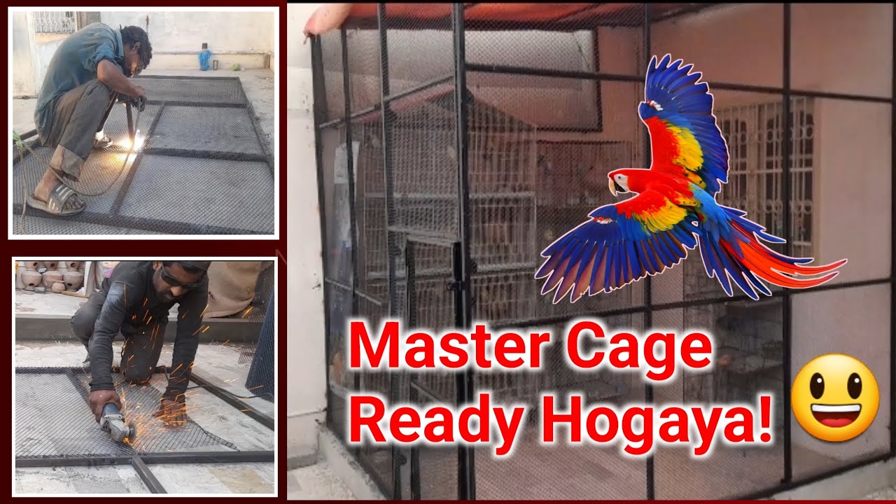 Master Cage For Birds | @ahsanbirds05 - YouTube