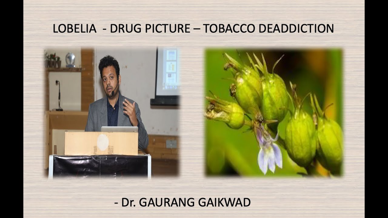 Lobelia - Drug Picture #Tobacco Deaddiction - Dr. Gaurang Gaikwad - YouTube