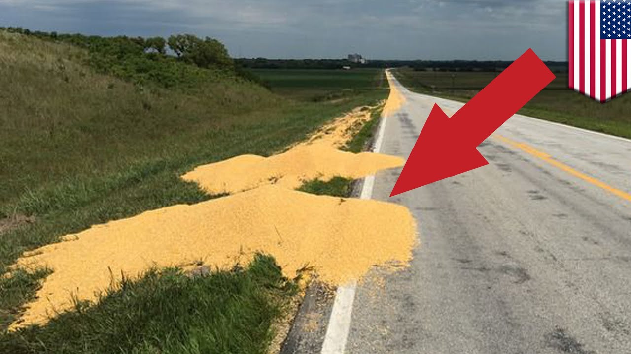 Trucker’s revenge: Fired truck driver dumps 1,000 bushels of corn on ...