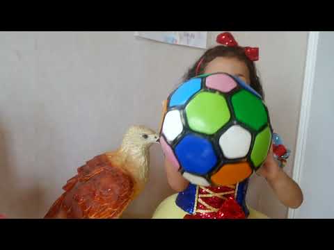 Əlifba - T hərfi - Nuriyeva Nuray