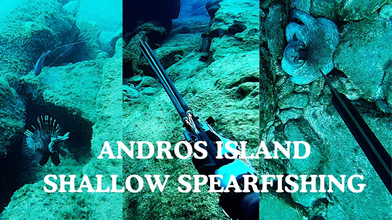 Ρηχό ψαροντούφεκο στην Άνδρο (Ιούνιος 2024). Shallow spearfishing in ...