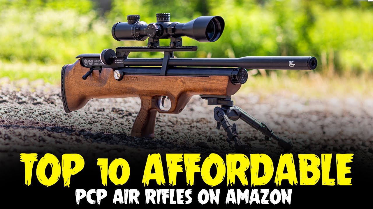 Top 10 Affordable PCP Air Rifles on Amazon - Best Air Rifle for Hunting ...