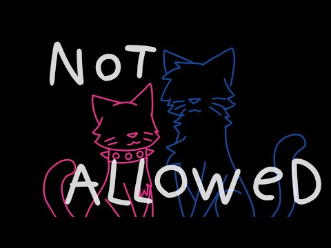 Not allowed // 1 - YouTube