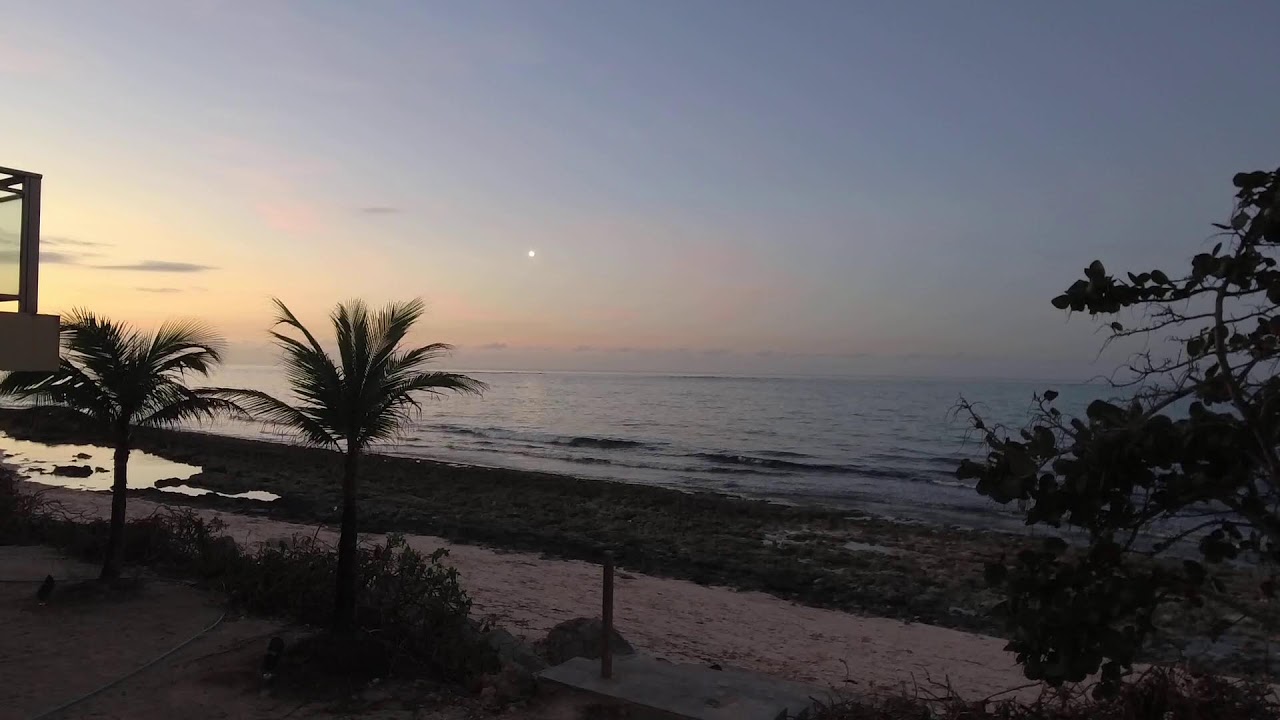 Love Beach Live Sunset Cam Nassau Bahamas - YouTube