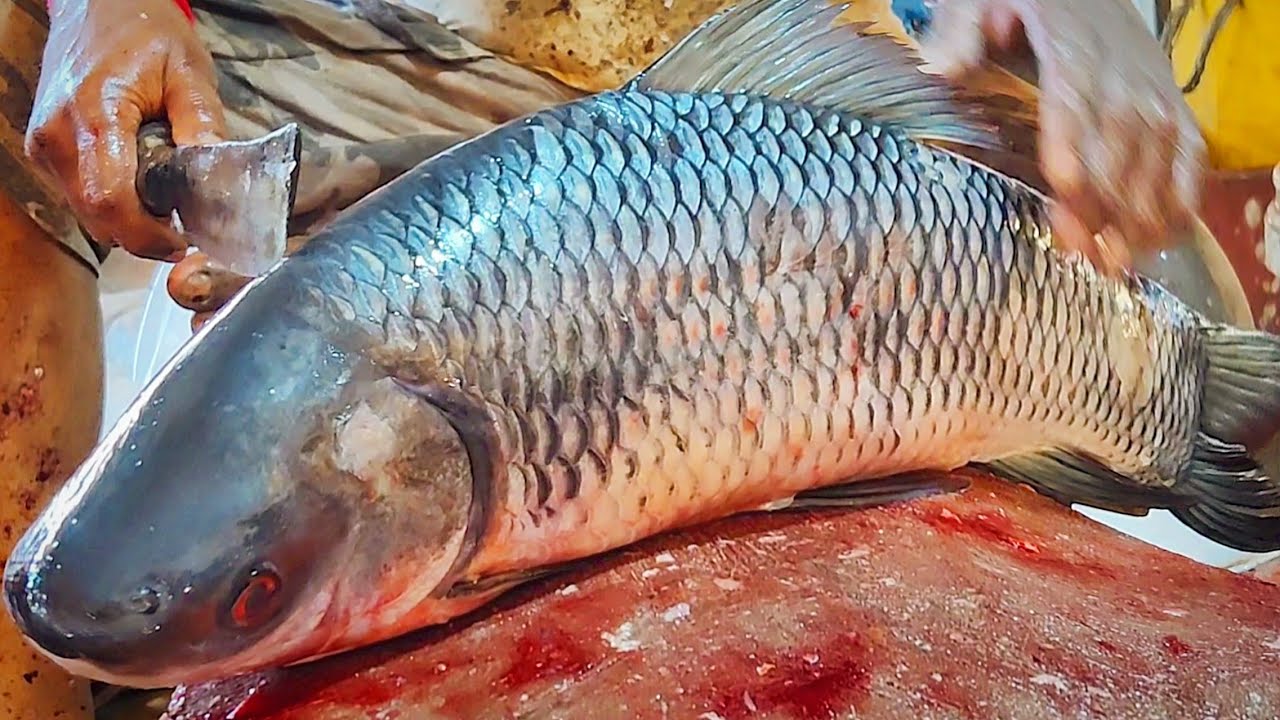 Big Rohu Fish Skinning And Chopping By Expert Fish Cutter | Amazing ...
