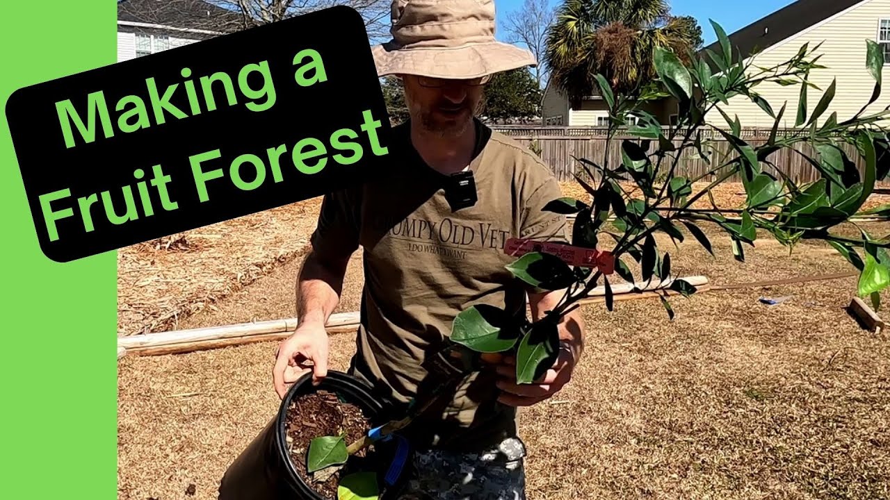 Unleashing Backyard Potential: Filling in the Fruit Forest - YouTube
