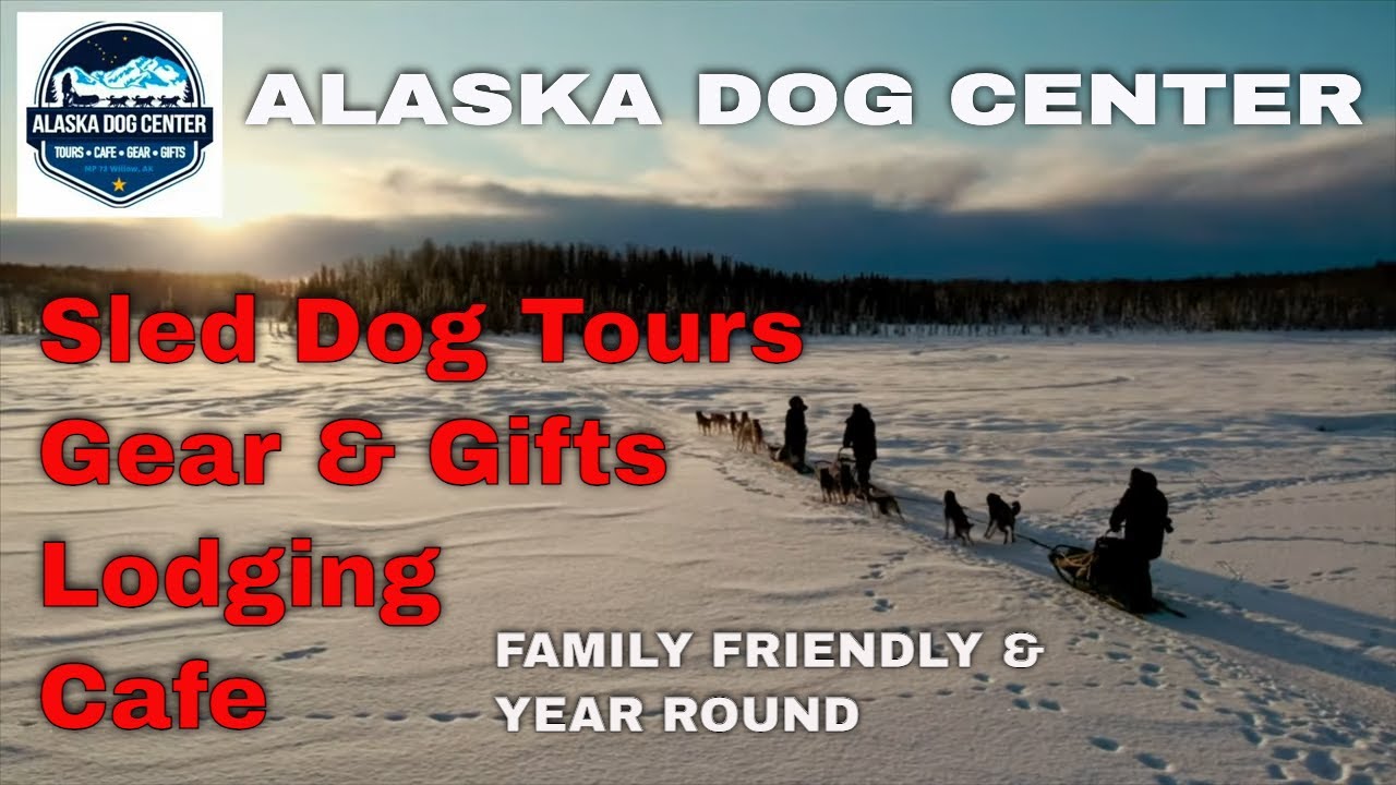 Family Friendly Sled Dog Tours At Alaska Dog Center, Just North Of ...