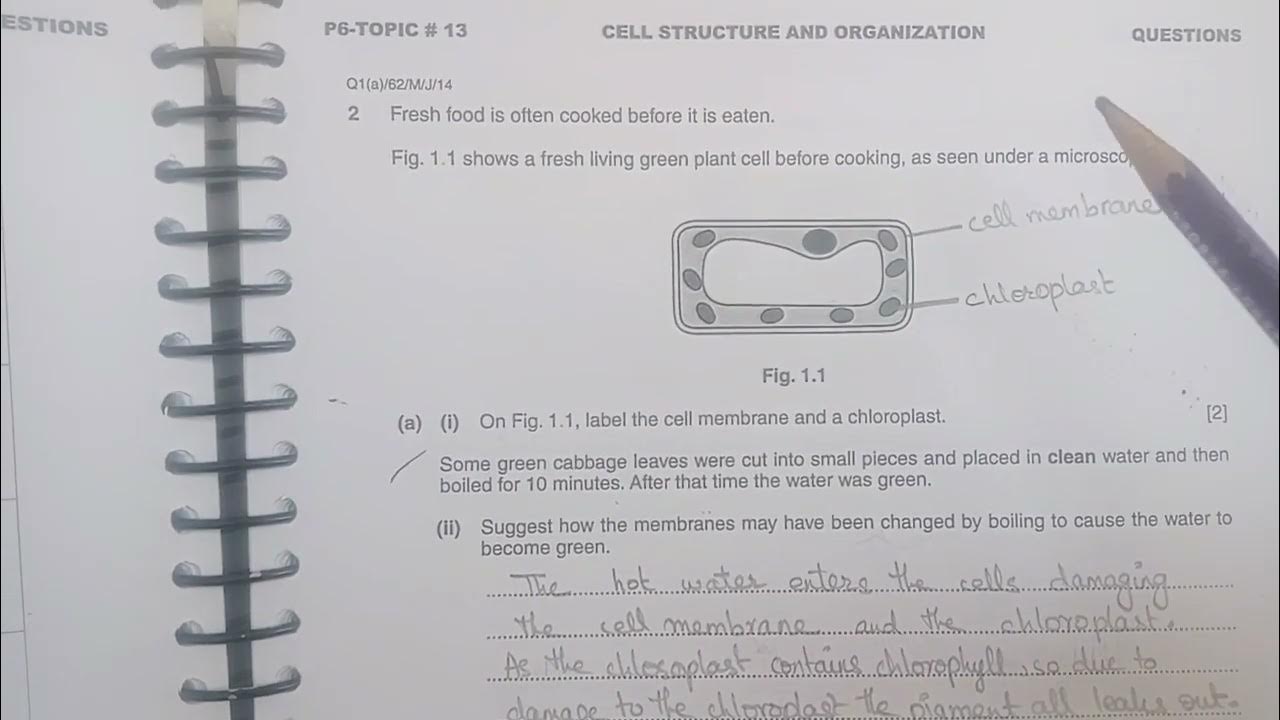Cell Structure & organization Biology 5090 Topical past papers solved ...