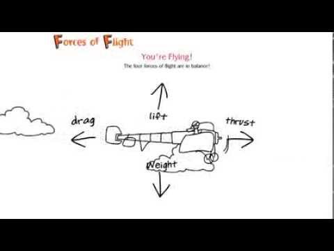 Forces of Flight - YouTube
