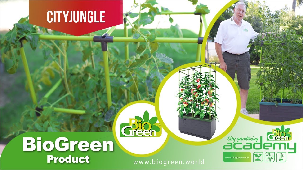 Make your urban jungle come alive with the Bio Green City Jungle ...