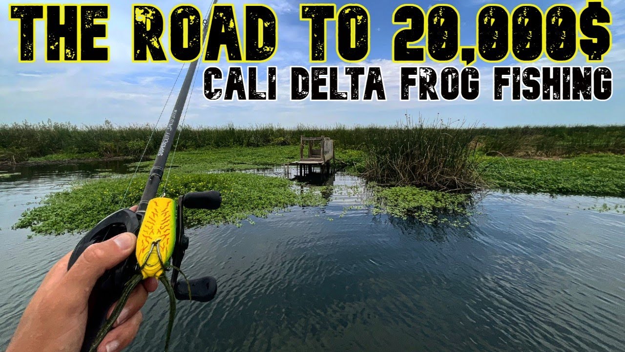 Summer Ca Delta Frog Fishing | BBT Delta | The Road To 20,000 - YouTube