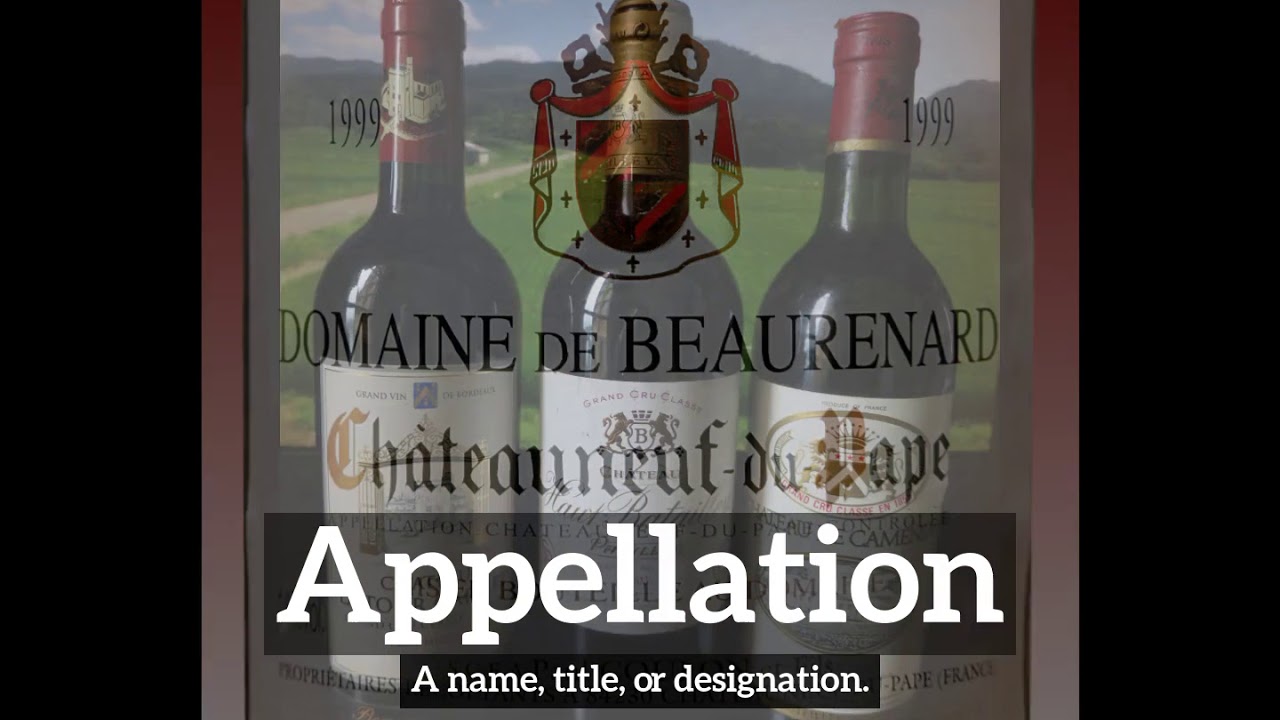 How Does Appellation Look? | How to Say Appellation in English? | What ...