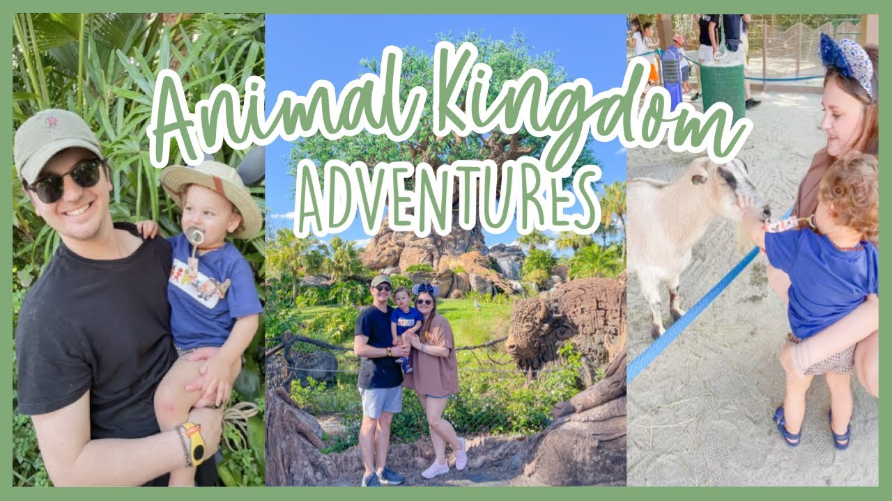 Petting Real Animals at Disney! Animal Kingdom Vlog + Breakfast at Boma ...