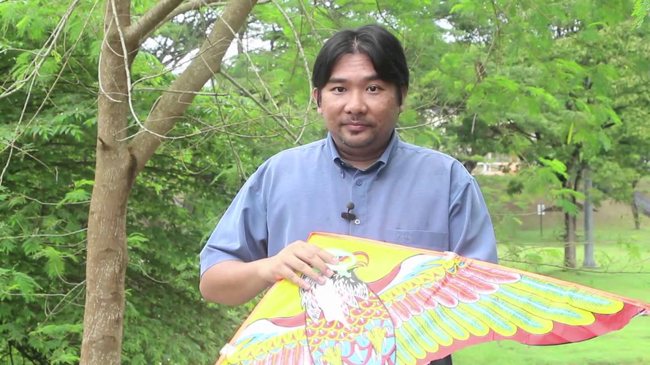 Soaring In The Wind The Science of Kite Flying - YouTube