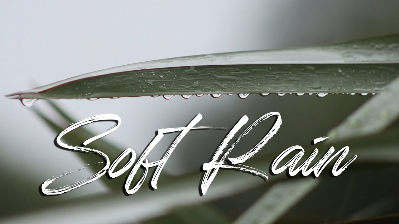 Soft rain for sleeping - Ultimate Stress Relief - Calm down and relax ...