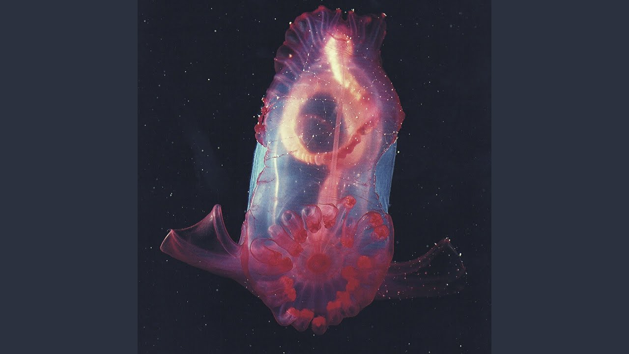 Into the Light (feat. Jenn Gavito) - YouTube