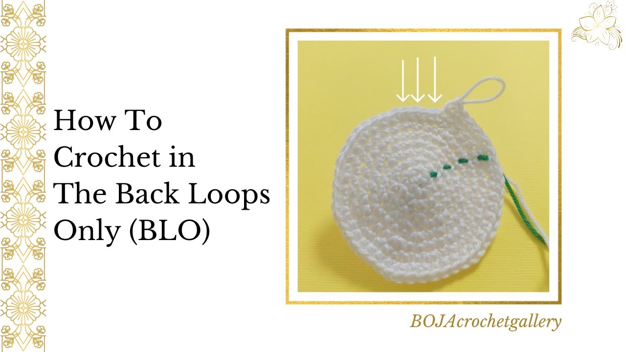 Basic Crochet Stitch 2.How To Crochet in The Back Loops Only BLO by ...