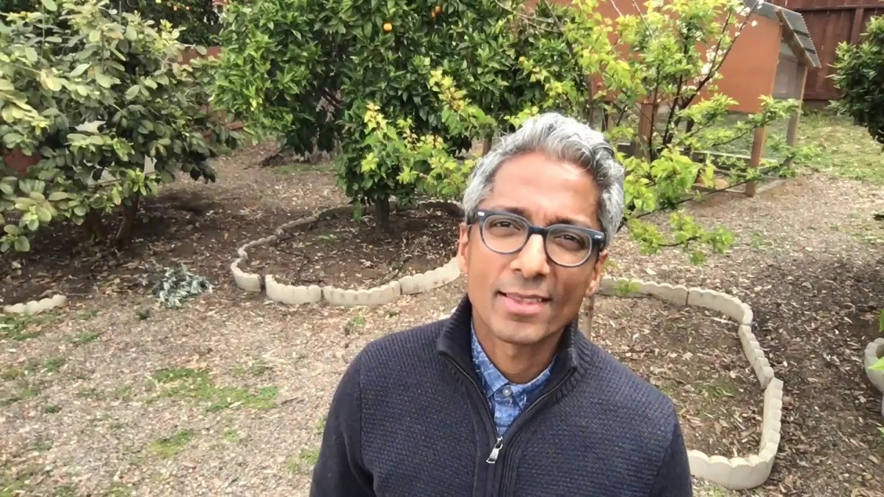 USD Remote Experience with Satyan Devadoss, PhD - YouTube
