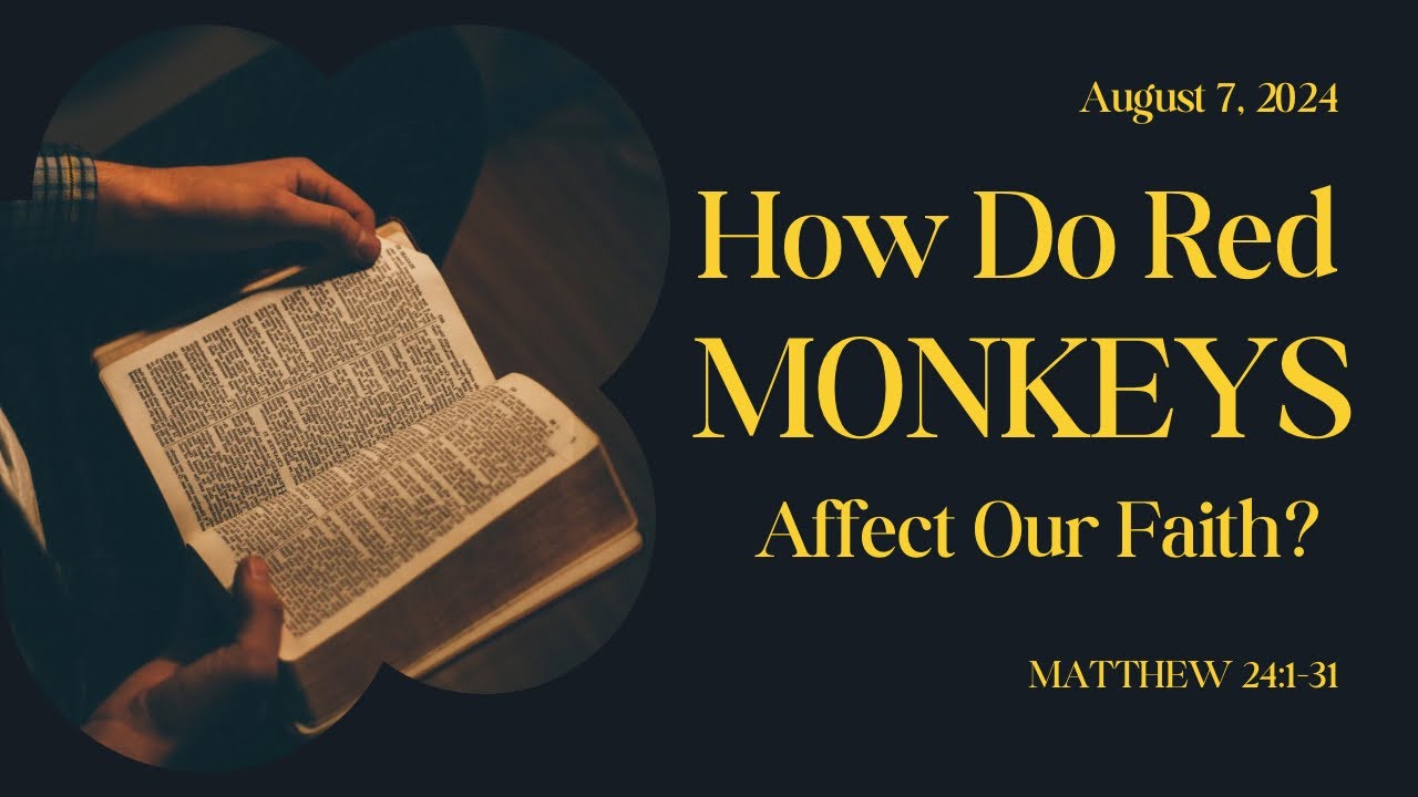 What Do Red Monkeys Have to Do with Our Faith? Matthew 24, 1 ...
