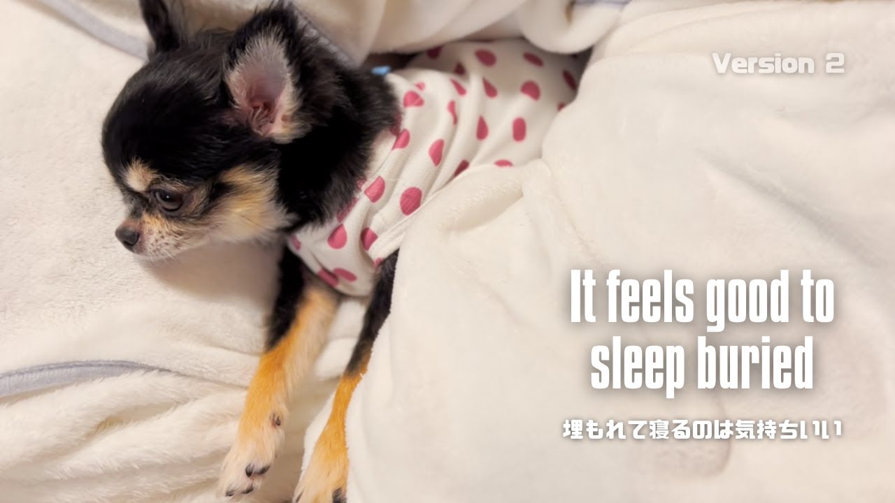 It feels good to sleep buried - Nene - YouTube