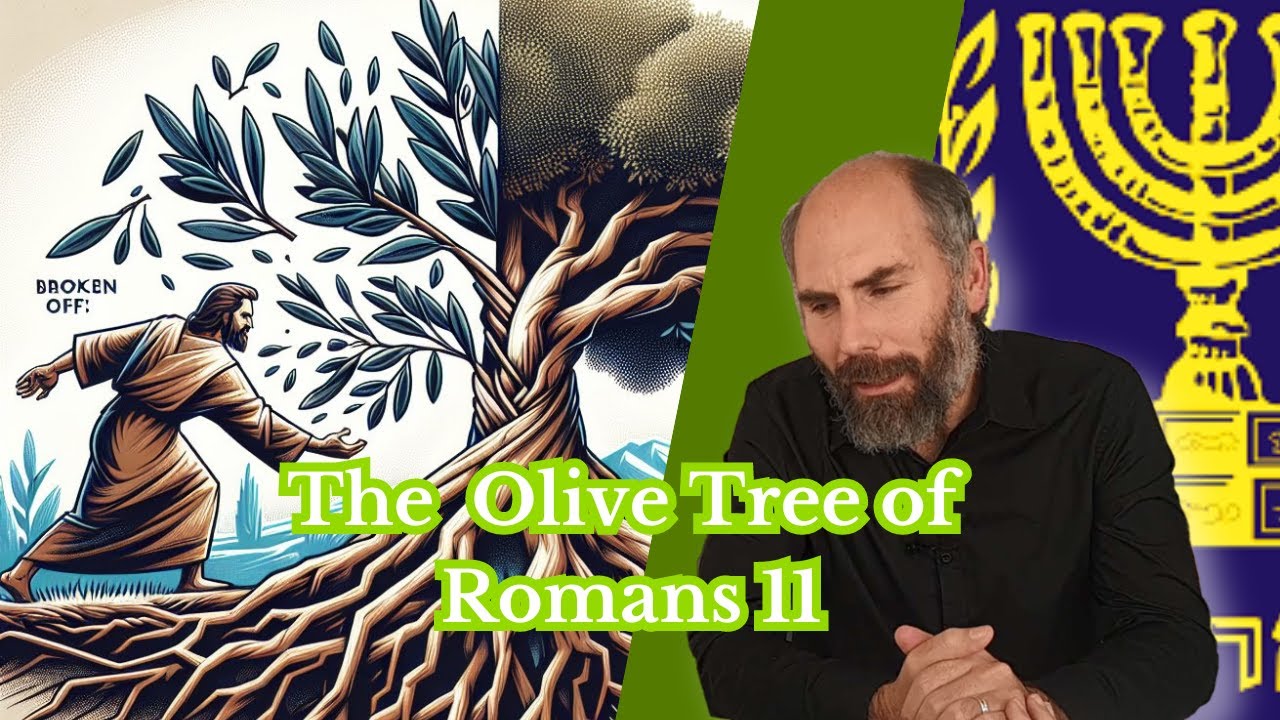 The Olive Tree of Romans 11 - YouTube